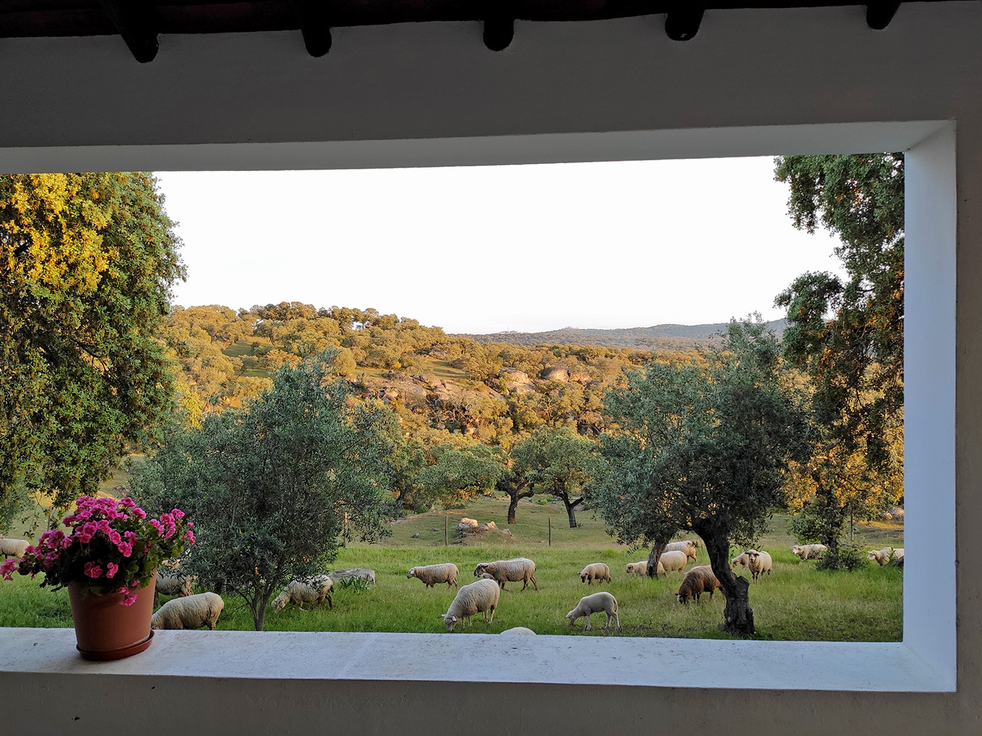 GALLERY - A farm state in Alentejo surrounded by untouched nature